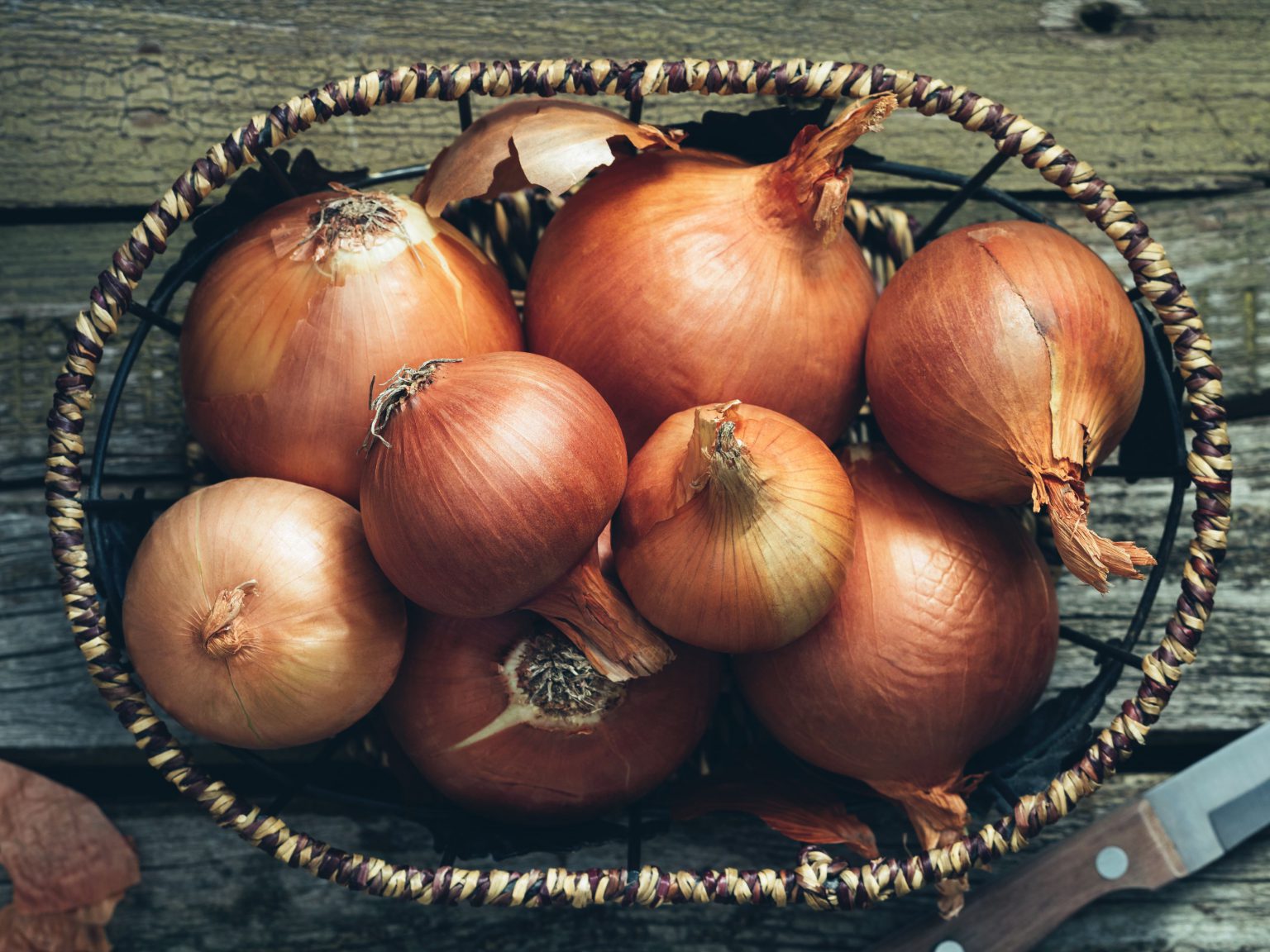 Onion – omotic